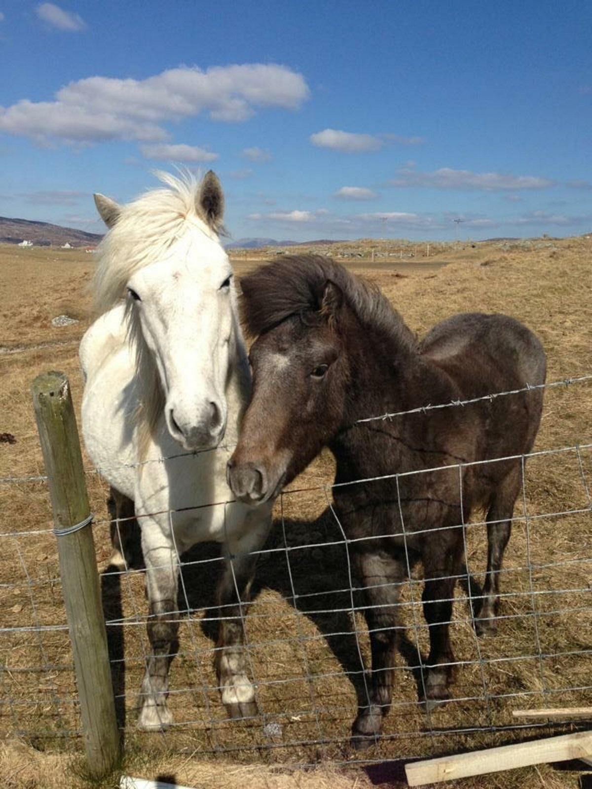 Gallery – An Taigh Mòr