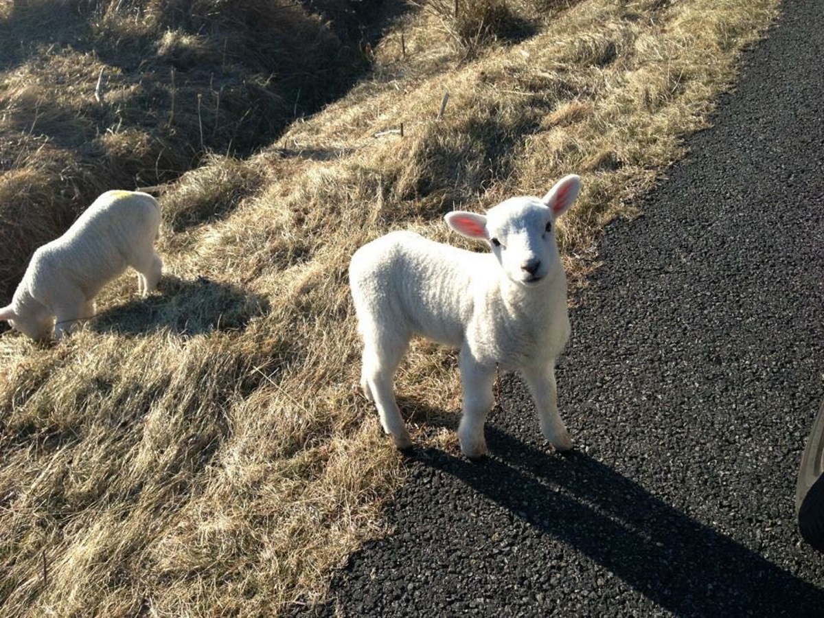 Gallery – An Taigh Mòr