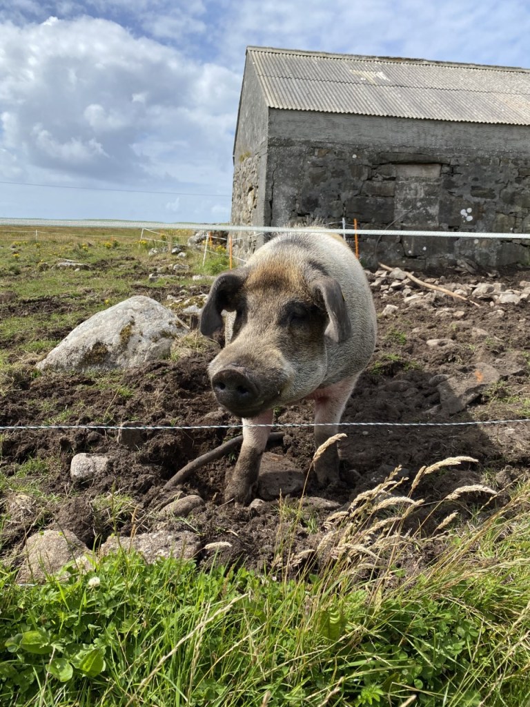 Gallery – An Taigh Mòr